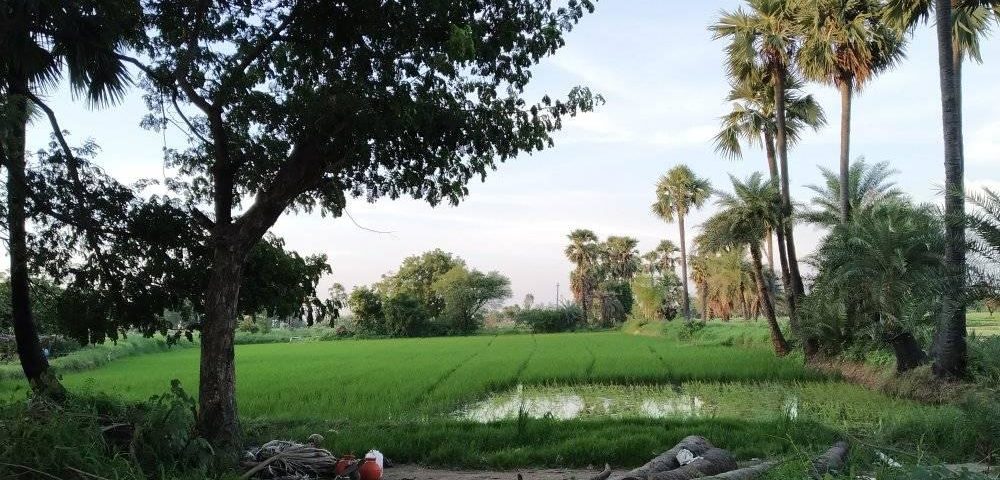 Agro – Eco tourism – Spaais